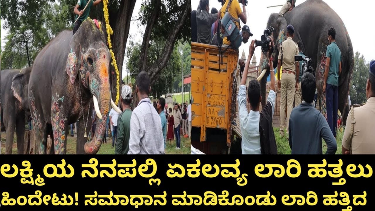 ಲಕ್ಷ್ಮಿಯ ನೆನಪಲ್ಲಿ ಲಾರಿ ಹತ್ತಲು ಏಕಲವ್ಯ ಹಿಂದೇಟು#ekalavya elephant in ...