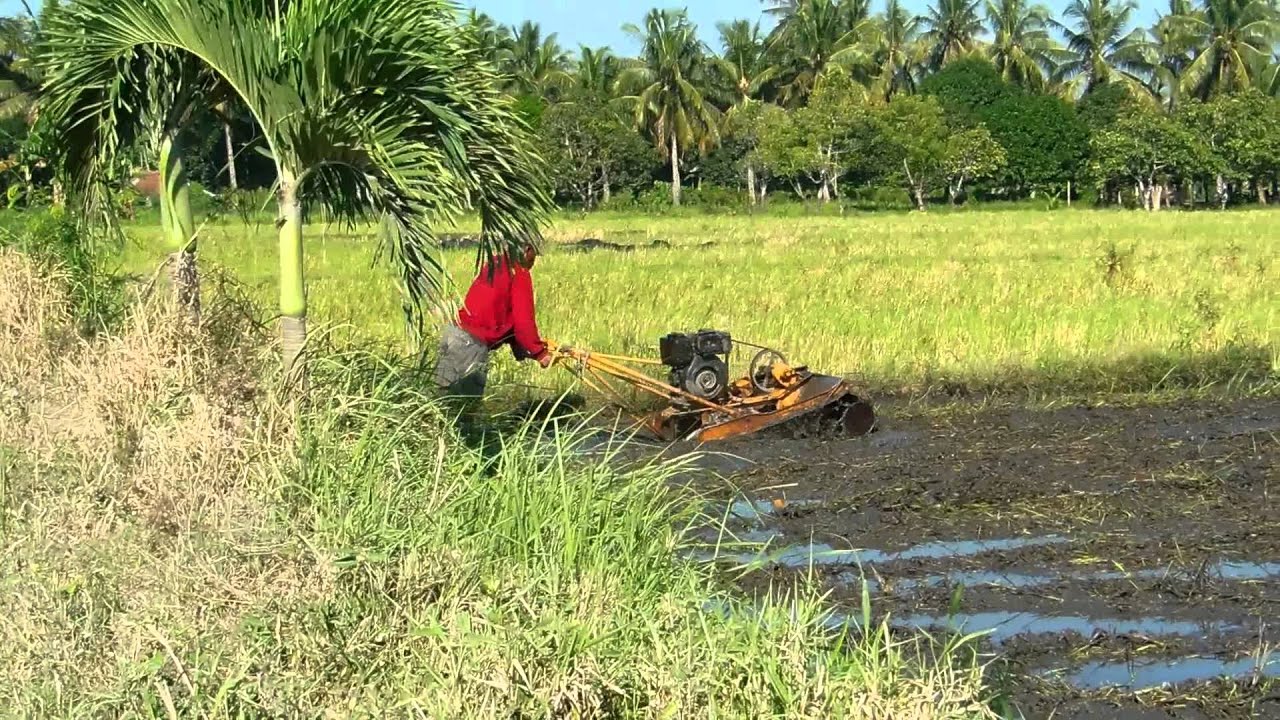 Ploughing in the rice stubble. - YouTube