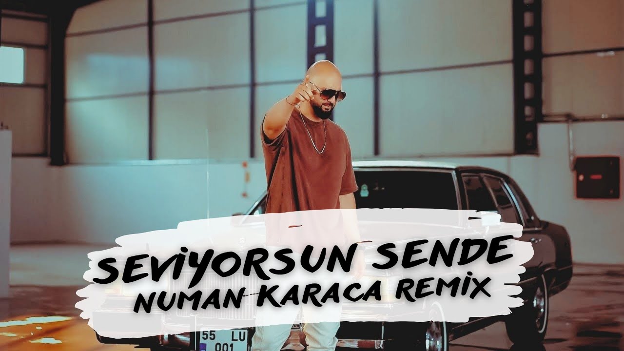Diyar Pala Ft Samet Kurt - Seviyorsun Sende (Numan Karaca Remix) - YouTube