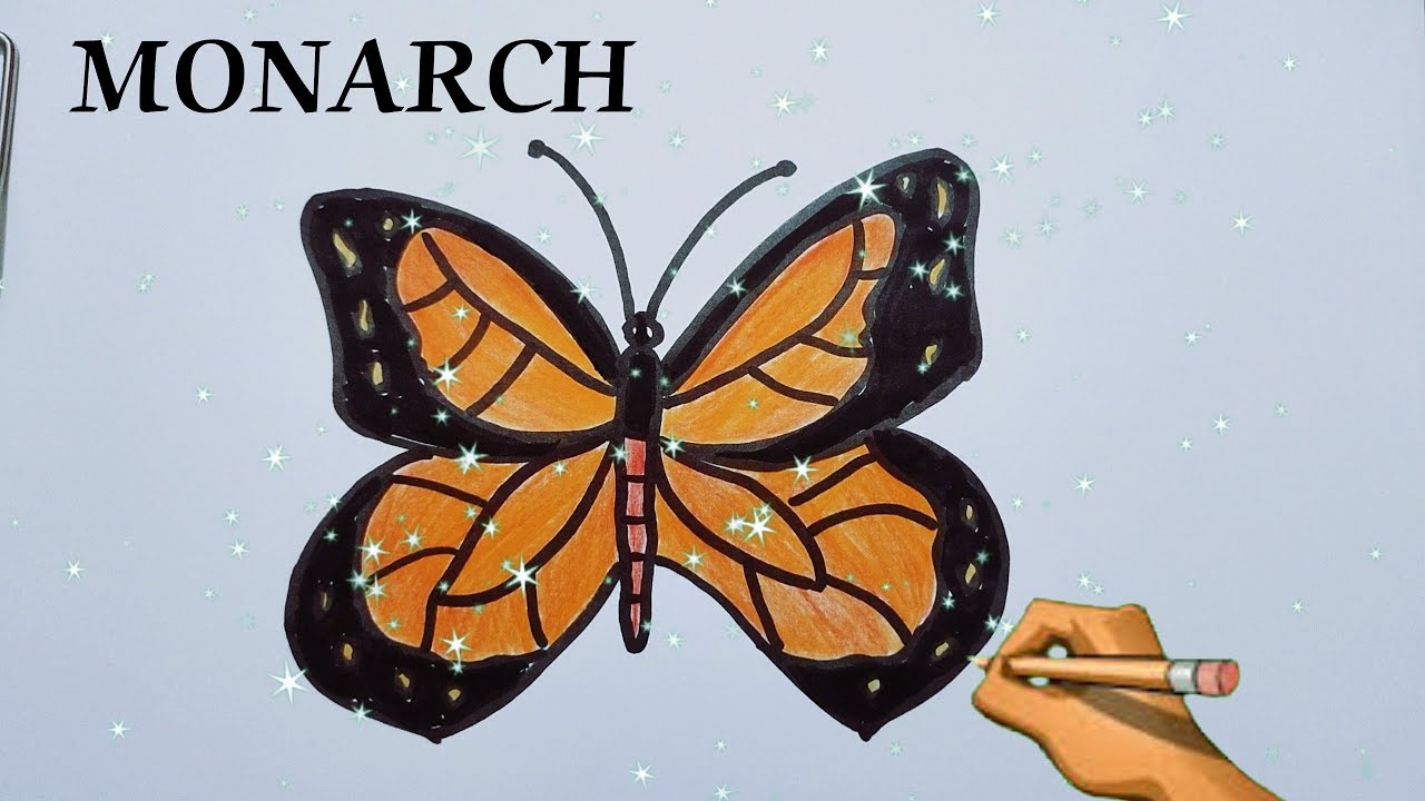 How To Draw A Monarch Butterfly Easy| Draw so easy and color butterfly ...