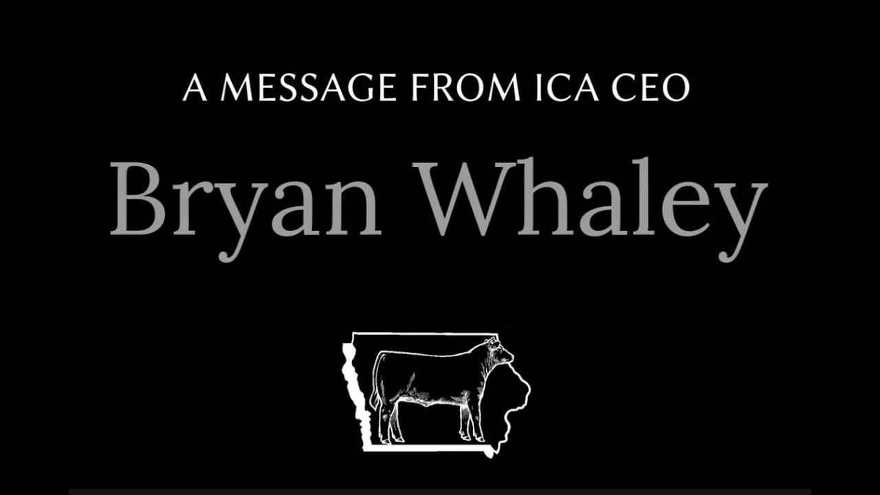 ICA CEO Message (Membership Year 2024/25) - YouTube