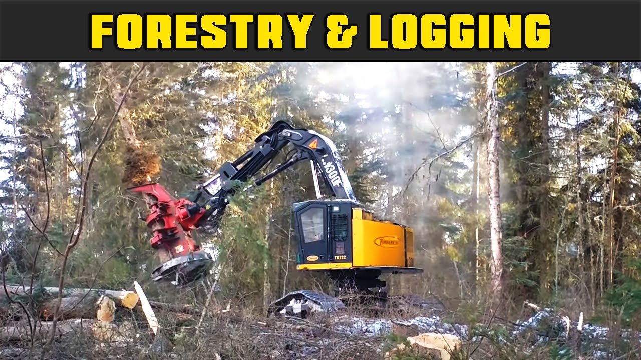 CAT TK722 Bunching Trees - Real Life Forestry & Logging - FDR Logging ...