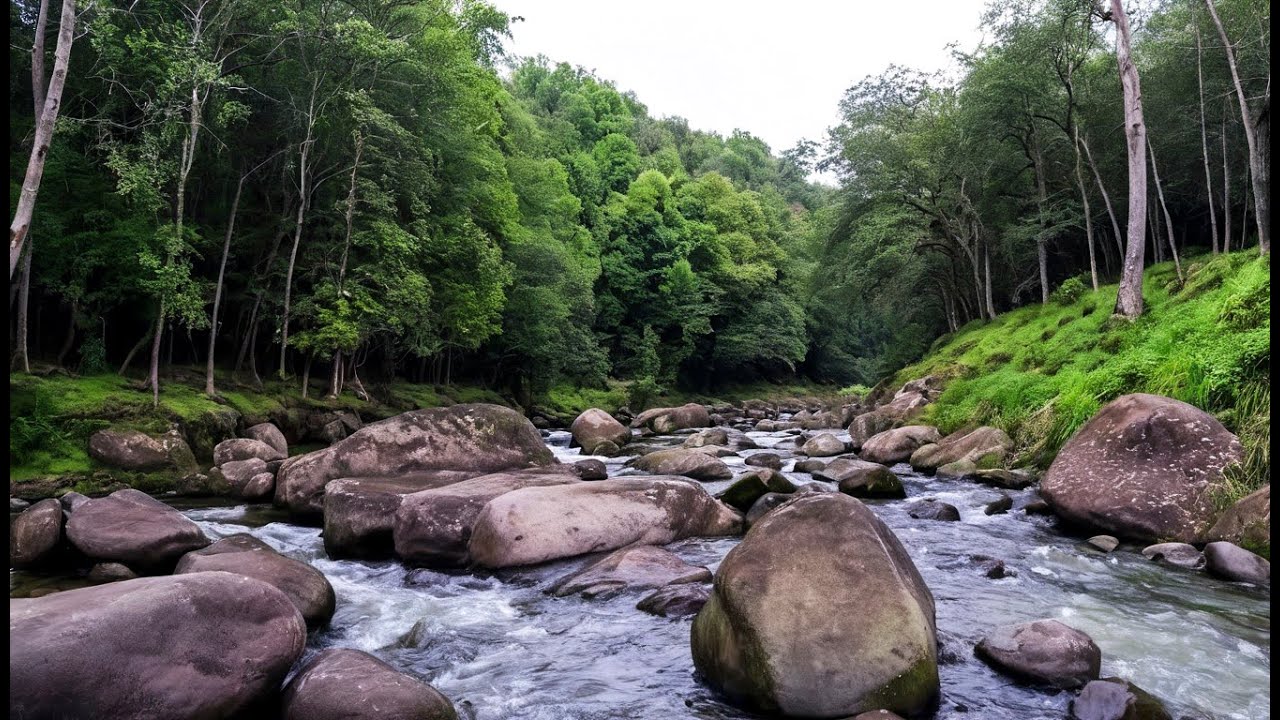 Nature's Most Soothing Waters Guide You to Deep Rest - YouTube