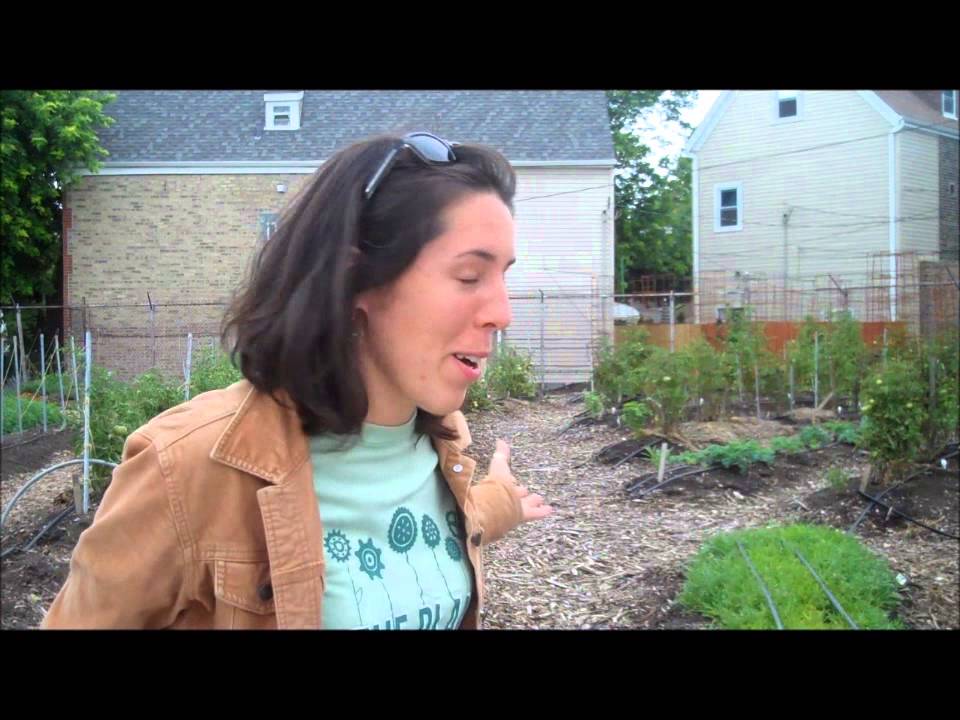 An interview with Kate Purvis of The Plant at The Plant, July 27, 2013 ...