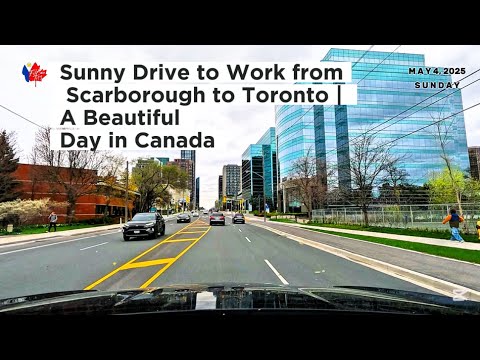 Sunny Drive to Work from Scarborough to Toronto | A Beautiful Day in ...