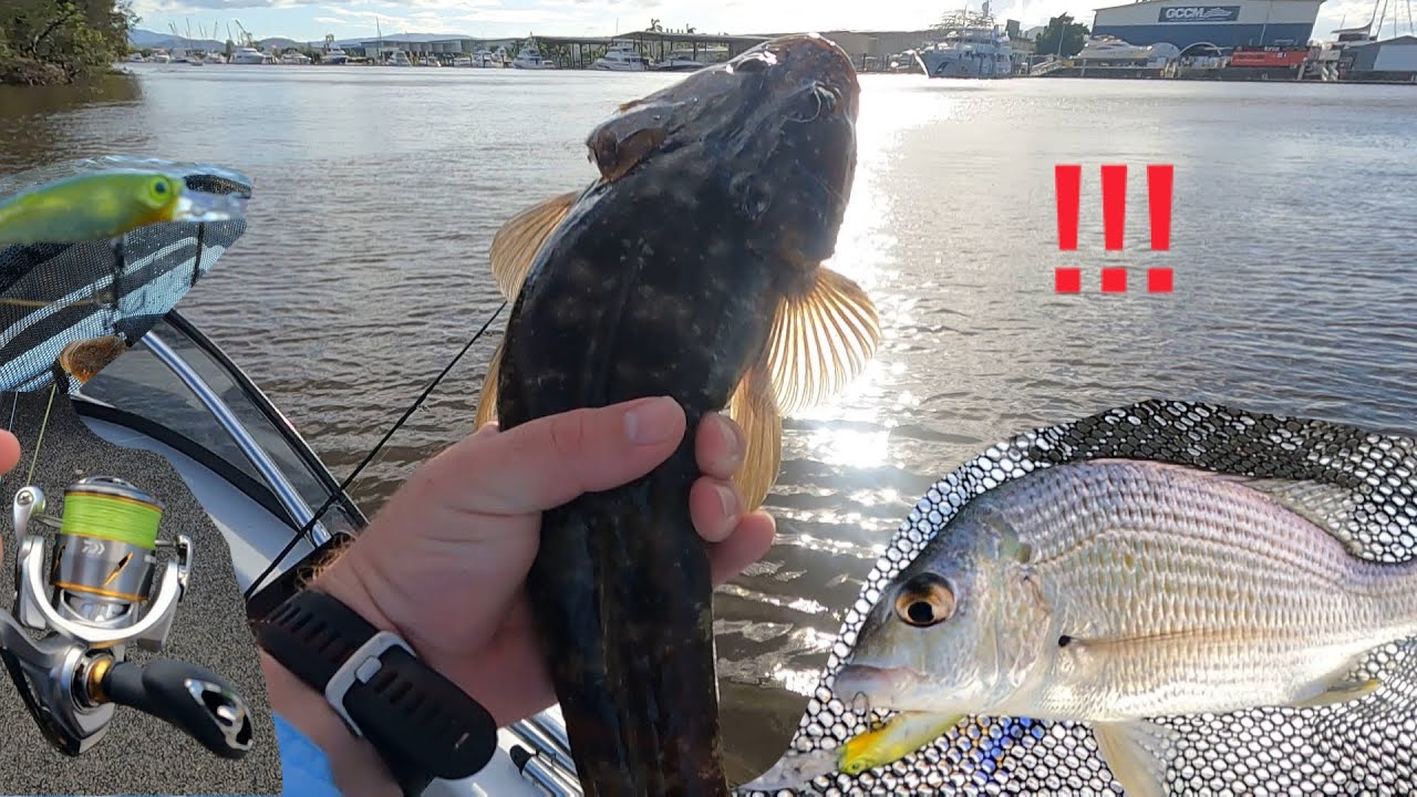 Gold Coast Lure Fishing - Trawling Hardbody Lures for Estuary Species ...