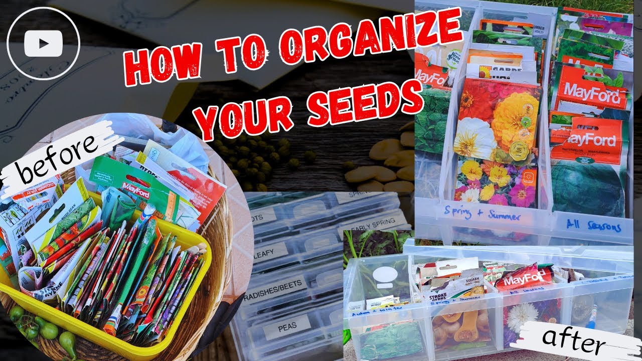 How to organize seeds - YouTube