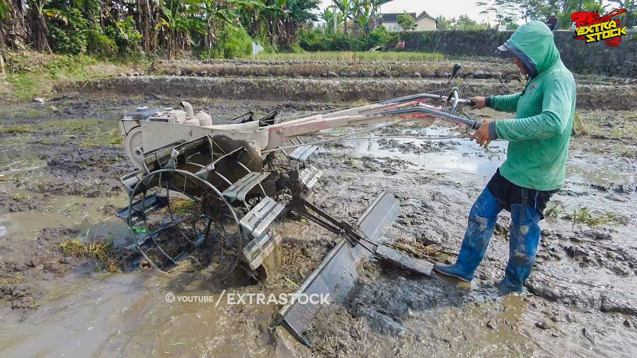 Proses Garu Tanah Sedikit Keras Traktor Sawah Harus Ditekan - YouTube