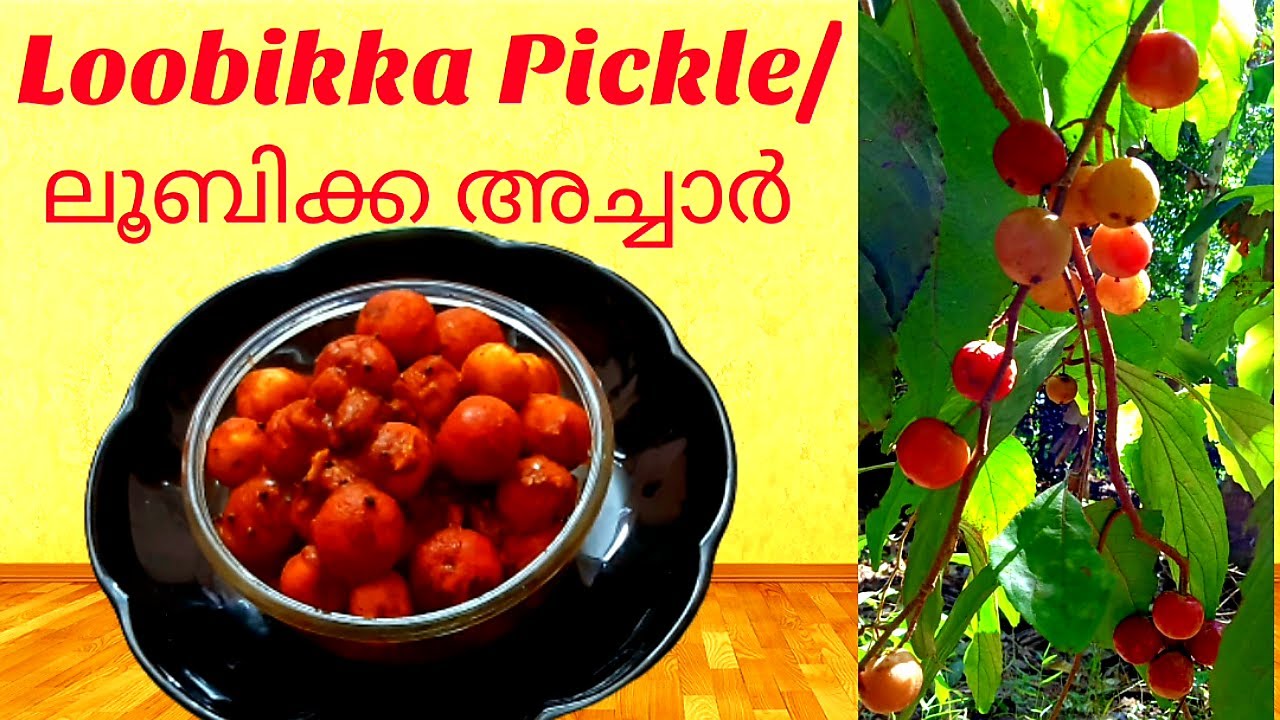 Lololikka Achar /ലൂബിക്ക അച്ചാർ /Lololikka Pickle /Scram Berry Pickle ...
