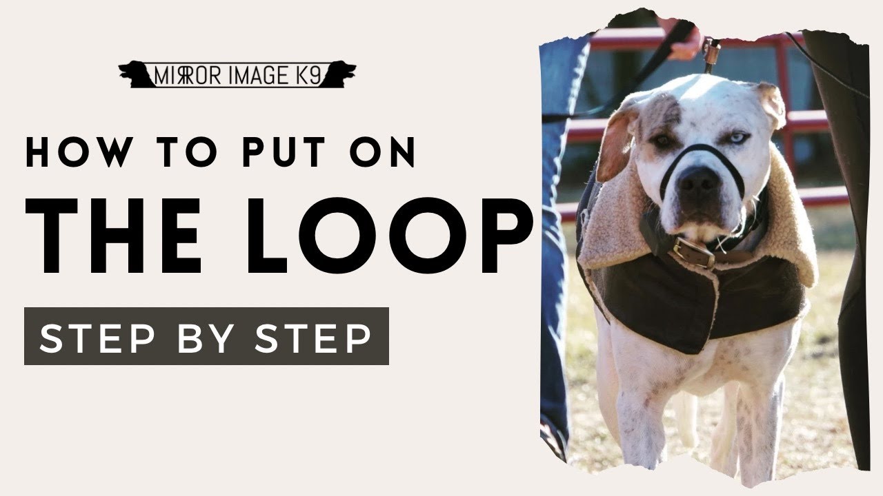 How To Turn The Slip Lead Into a Nose Loop - YouTube