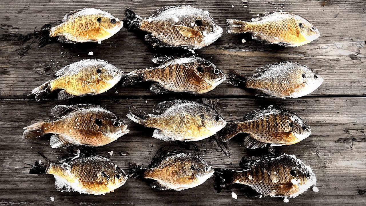 ICE FISHING Trip To Ohio (CATCH CLEAN COOK) - YouTube
