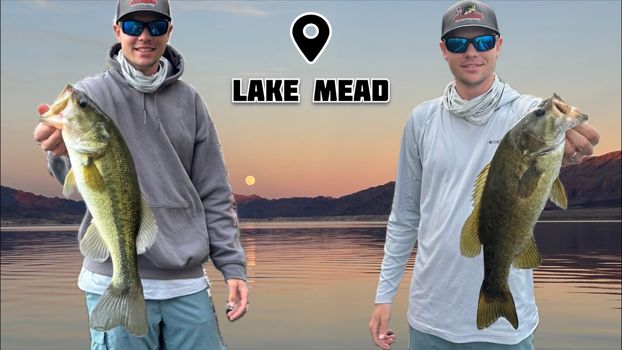 Lake Mead December Fishing Report • How to Catch More Fish! - YouTube