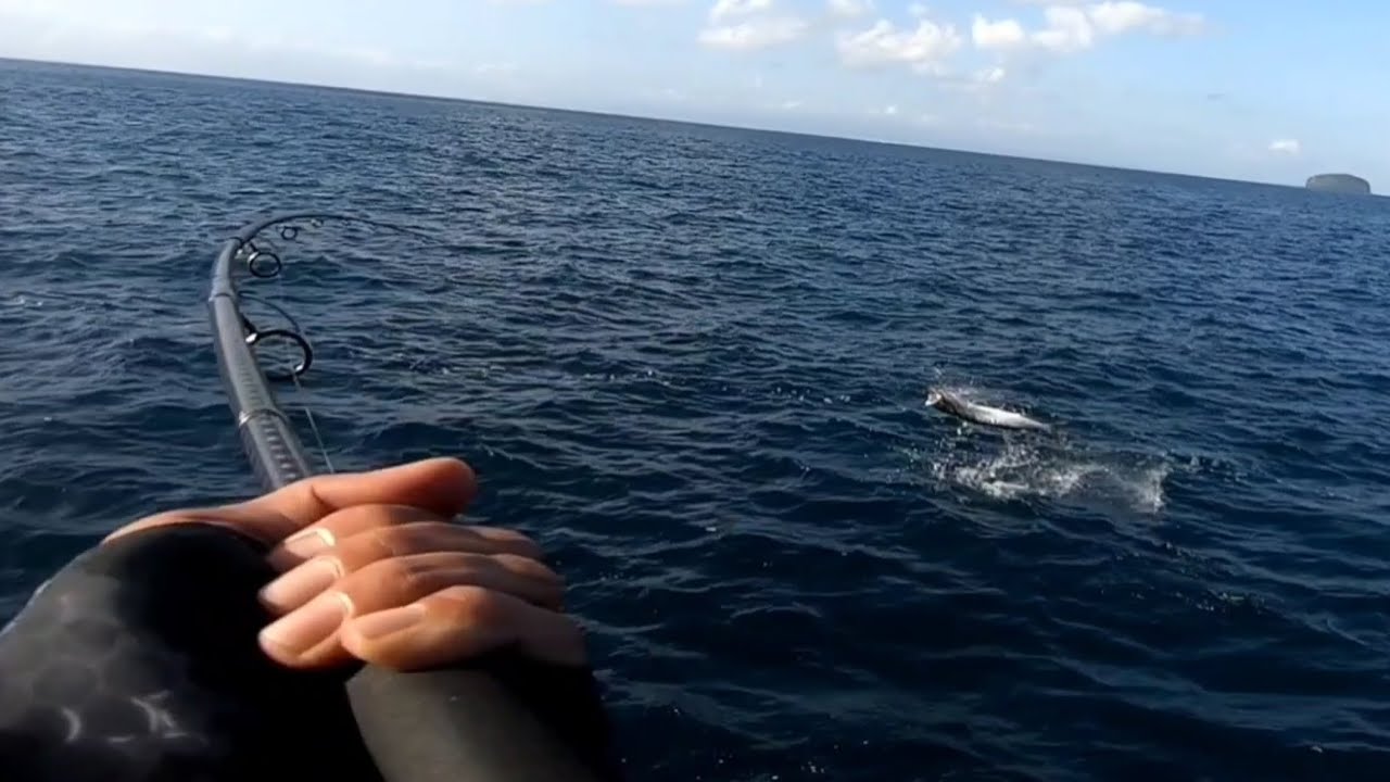 ombak besar ikan ganas sampe terbang ll rock shore fishing bukit asah ...