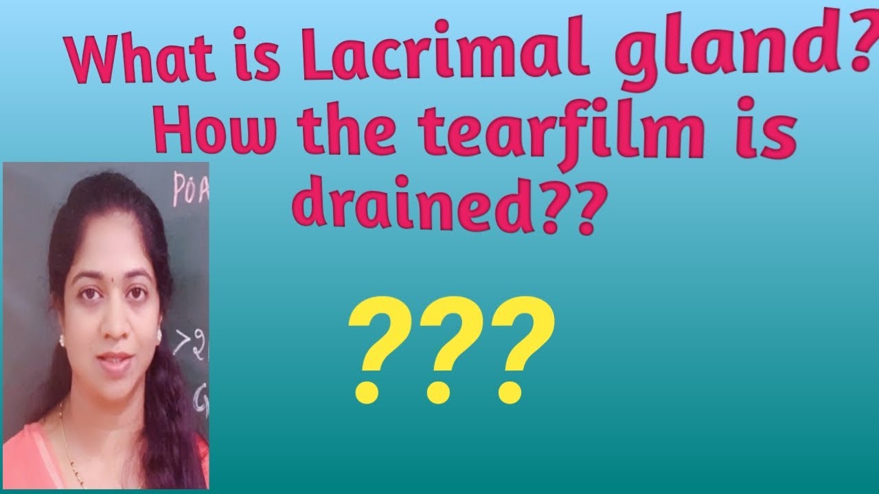 Lacrimal Apparatus|| Lacrimal gland || Lacrimal drainage system II ...