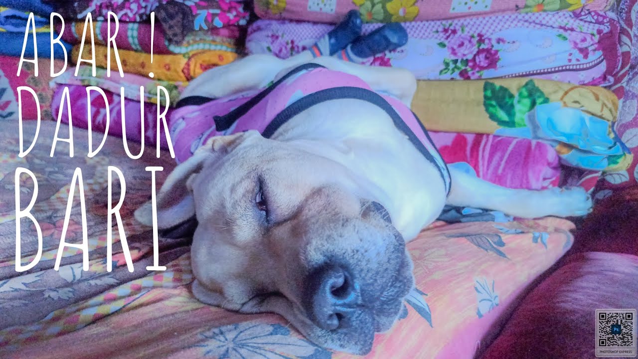 DADUR BARIII!!! :) - YouTube