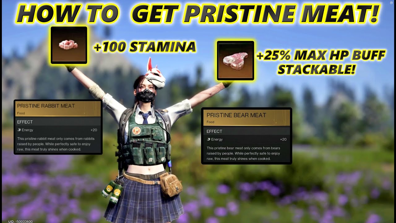 Once Human How To Get Pristine Meat! Crazy FoodBuff! Must Have Buff For PVE/PVP - YouTube