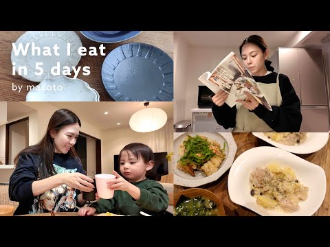 【食事vlog】最近の5日間ごはん記録 🥗🍴おうちご飯/唐津焼/レシピ #vlog143