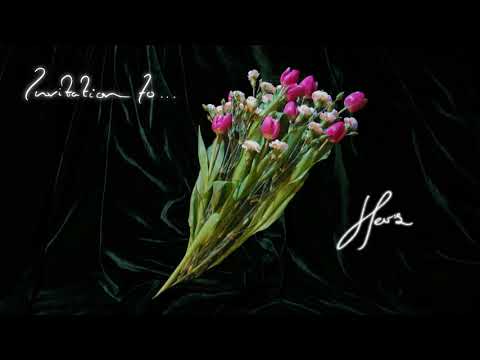 Her's - Carry The Doubt (Official Audio)