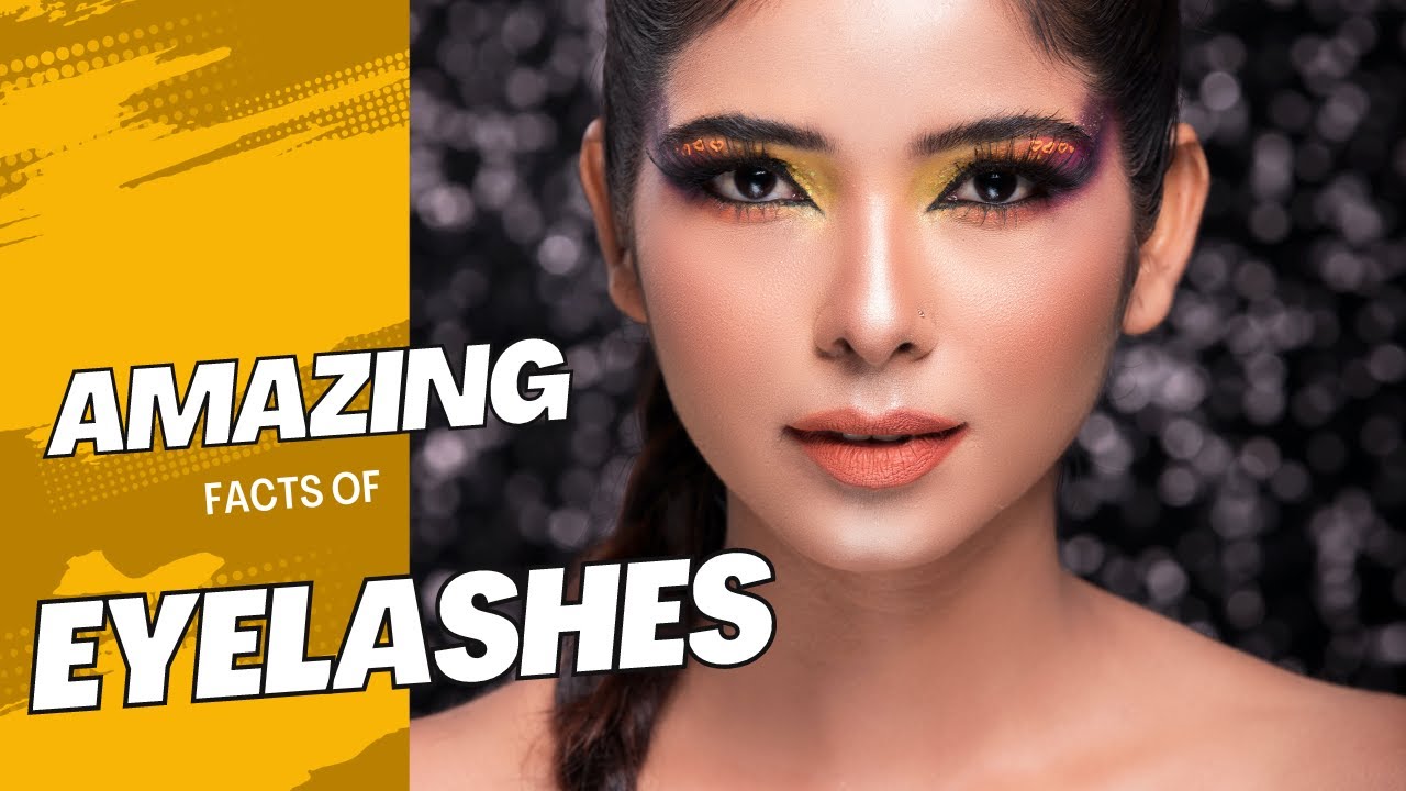 The Importance Of Eyelashes For Eye Protection The Beauty And The Importance Of Eyelashes For Eye Protection The Beauty And