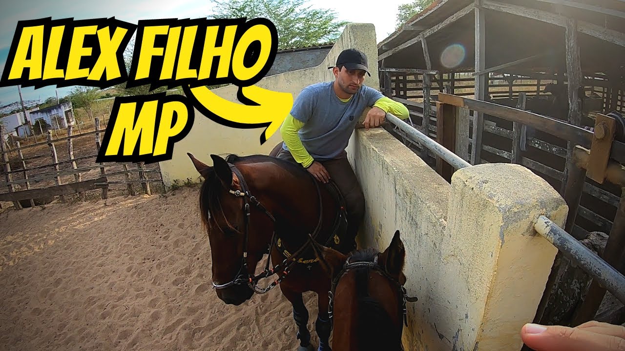 ALEX FILHO BATEU ESTEIRA PRA MIM. treino parte 02 - YouTube