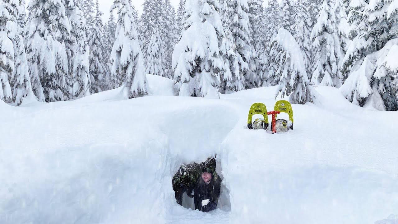 SOLO HEAVY BLIZZARD SHELTER CAMPING! - Snowstorm Buries Shelter ...