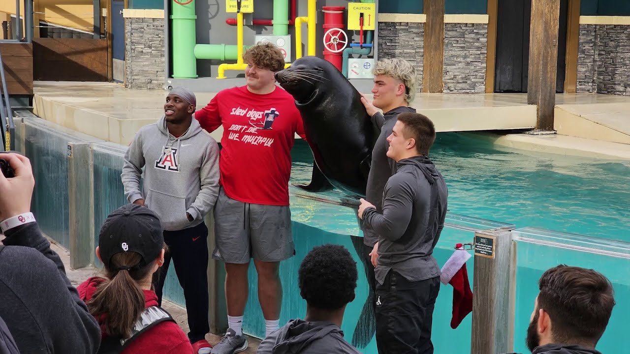 Football players from Oklahoma, Arizona spend Christmas at Sea World ...