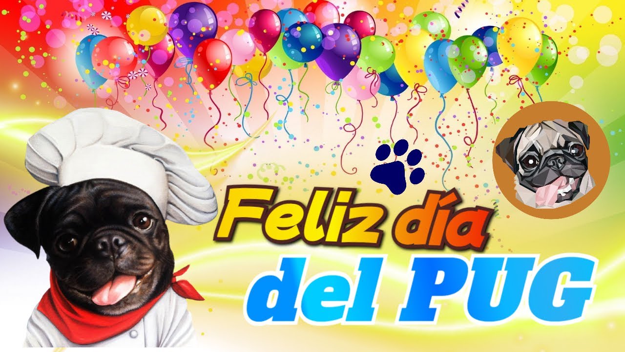 🐶Día INTERNACIONAL del PUG | Lindos y Arrugados: Celebrando el Día del ...