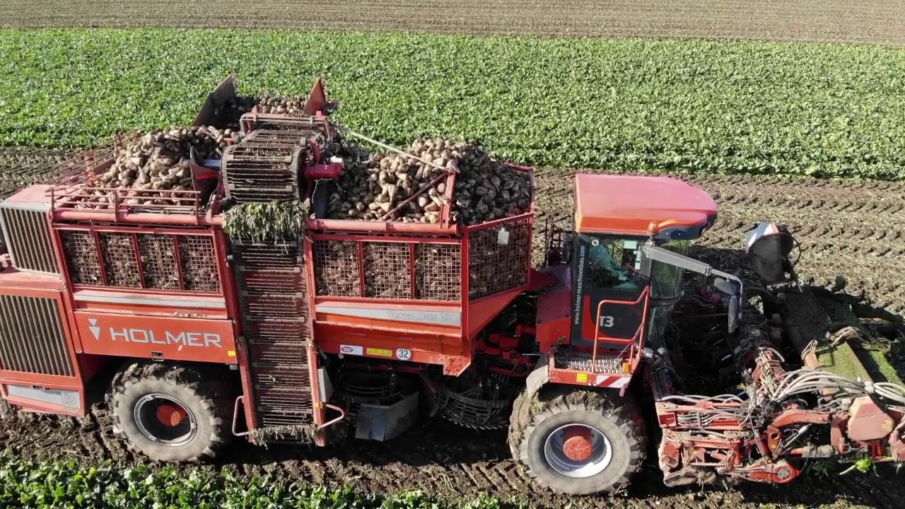 Holmer T3 Sugar Beet Harvesting - YouTube