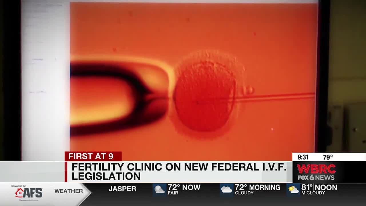 Fertility clinic on new federal IVF legislation - YouTube
