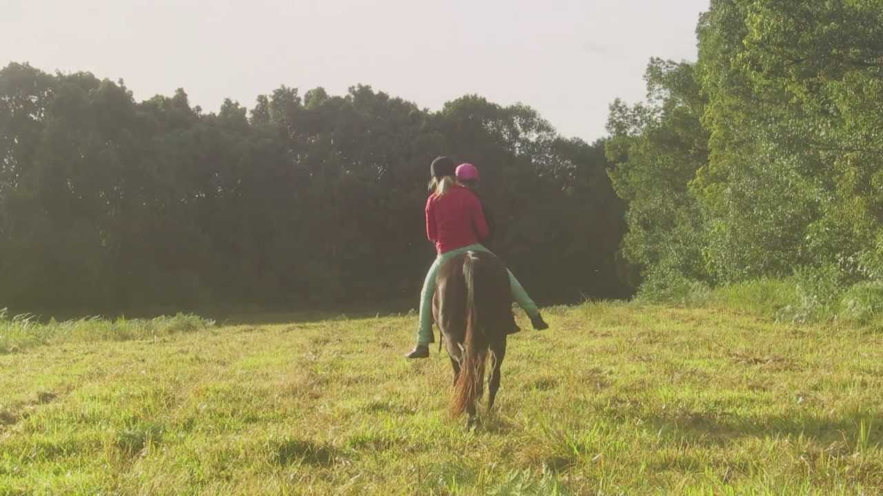 || Here you go || Double bareback riding with dance2horses! - YouTube