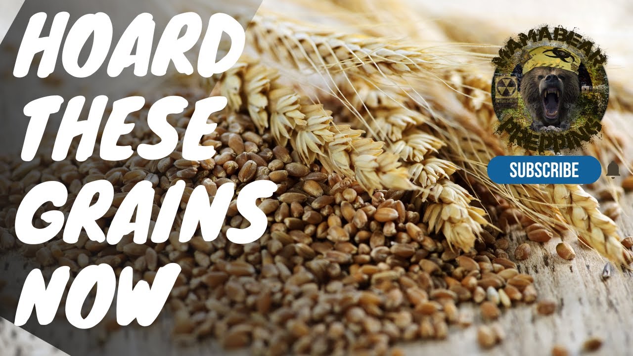 GLOBAL GRAIN SHORTAGES COMING (GET THESE WHOLE GRAINS BEFORE THE ...