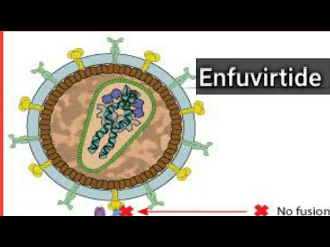 membrane fusion inhibitor (Enfuvirtide): mode of action: resistance ...