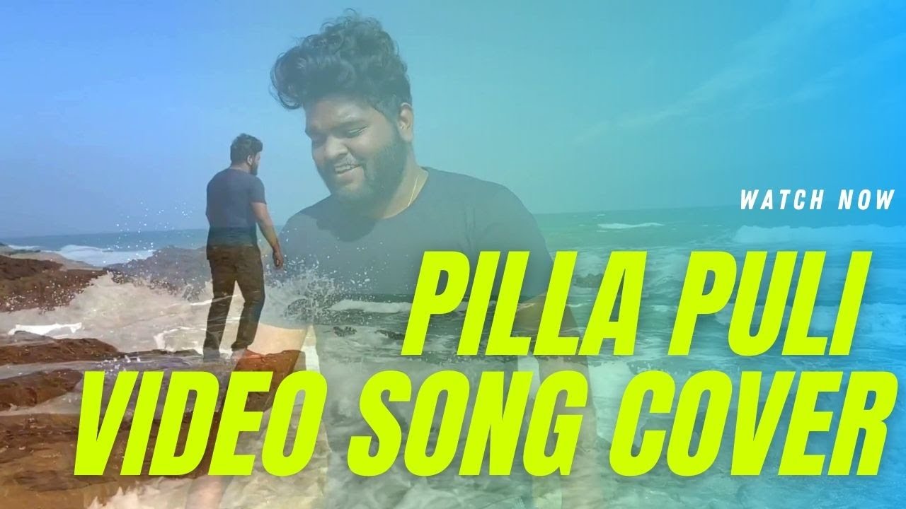 Pilla Puli Video Song Cover | Telugu | ft. Bharat Ummadi | Aakaasam Nee ...