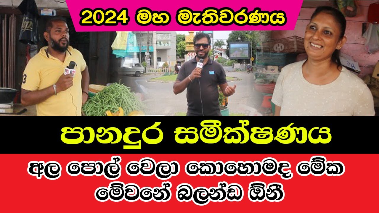 අල පොල් වෙලා මේවනේ සමීක්ෂණ - පානදුර තමයි පානදුර #npp - YouTube