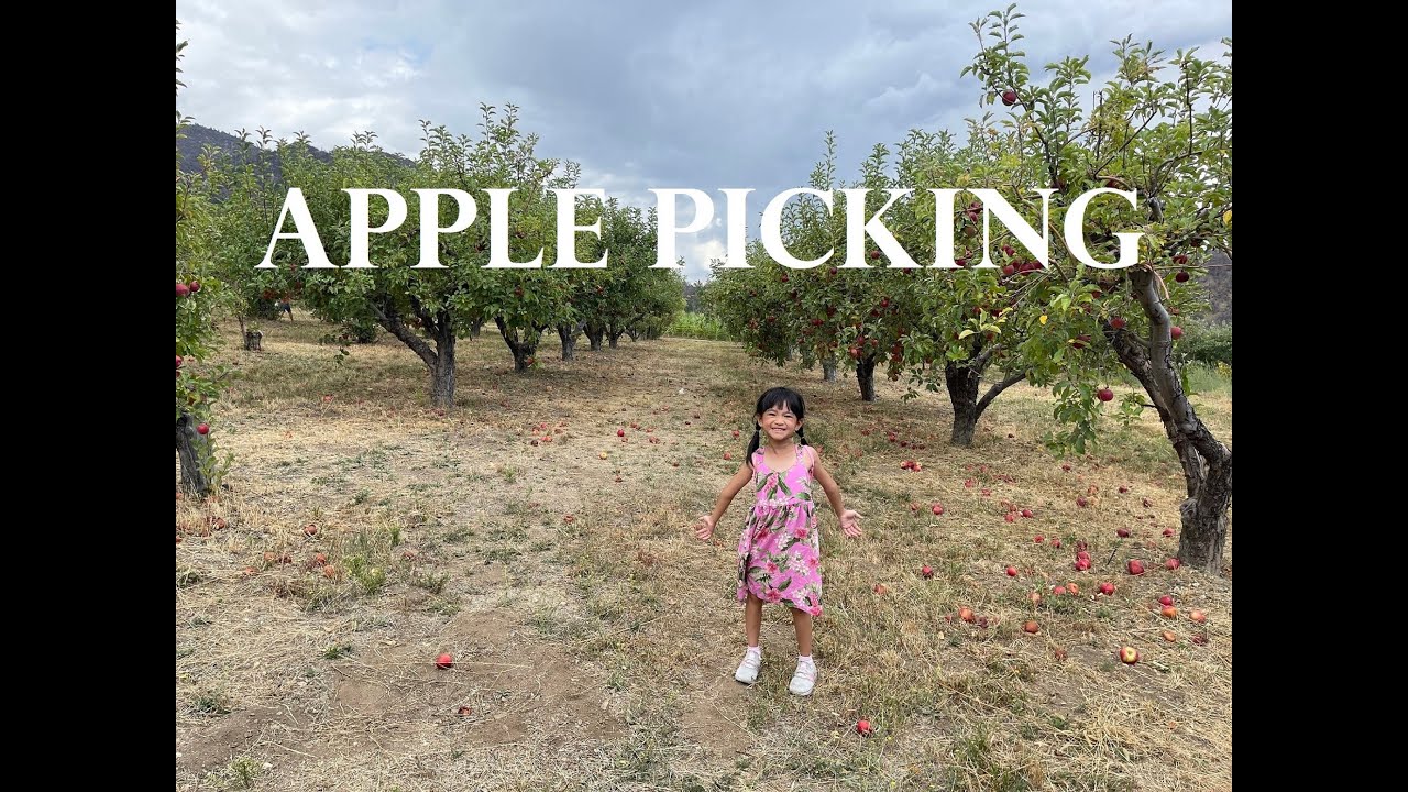 APPLE PICKING (LOS RIOS RANCHO) - YouTube