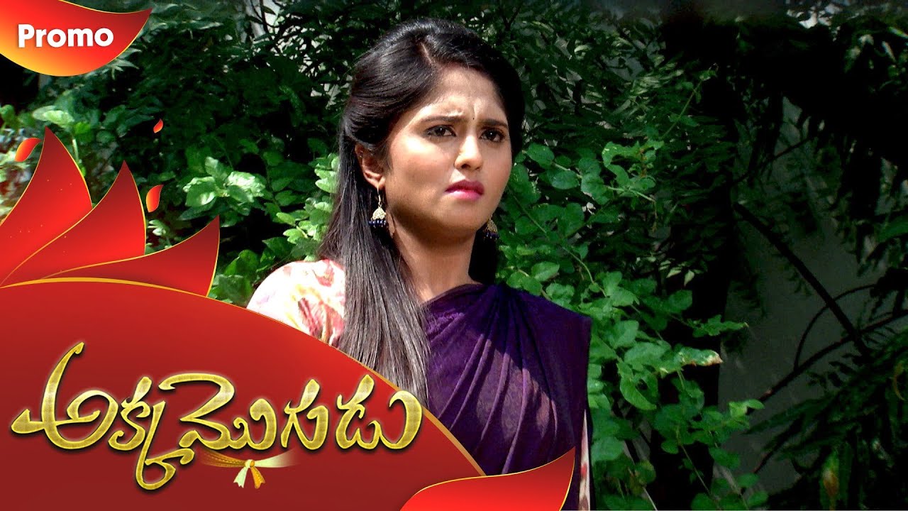 Akka Mogudu - Promo | 7th November 19 | Gemini TV Serial | Telugu ...