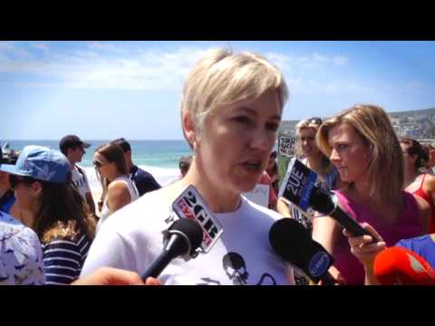 Anti-shark cull protest Manly NSW - YouTube