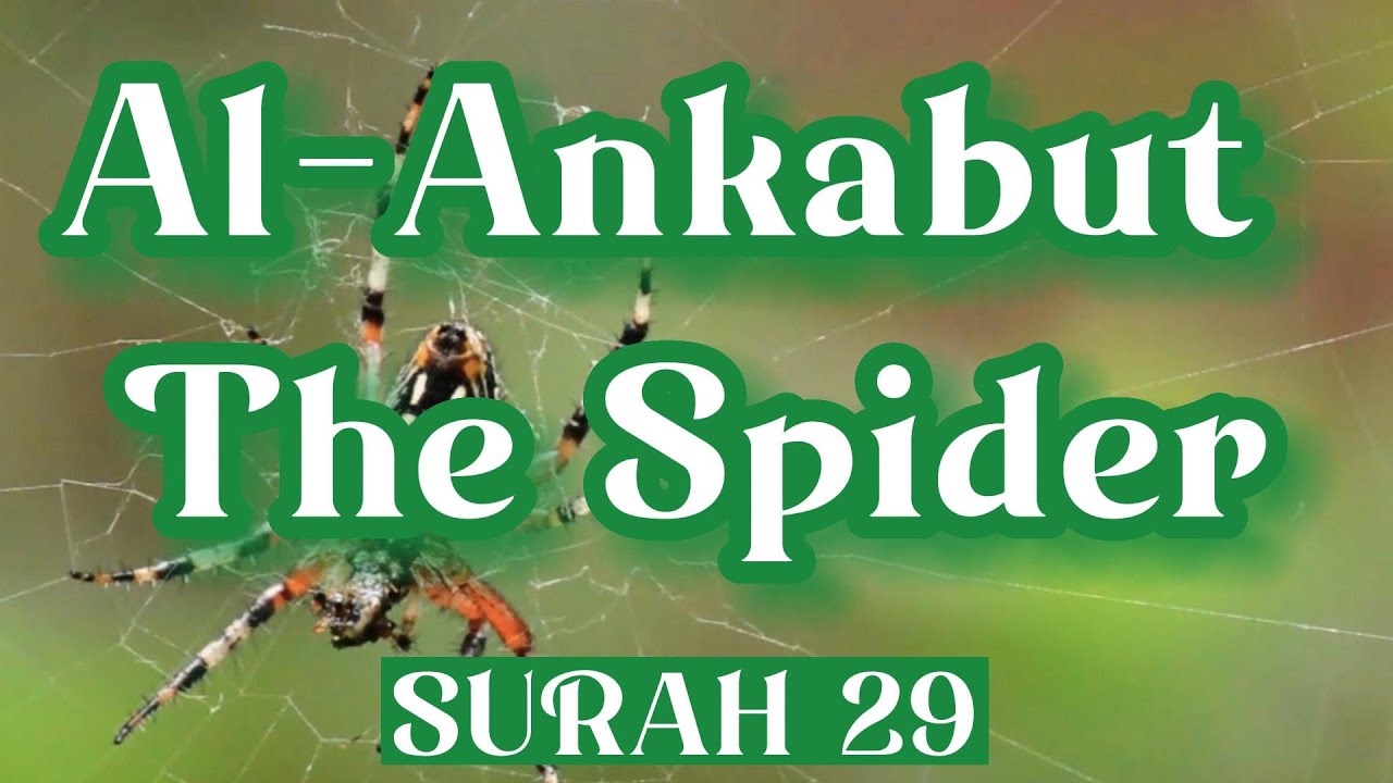 QURAN AUDIO IN ENGLISH SURAH 29 Al Ankabut ( The Spider ) - YouTube