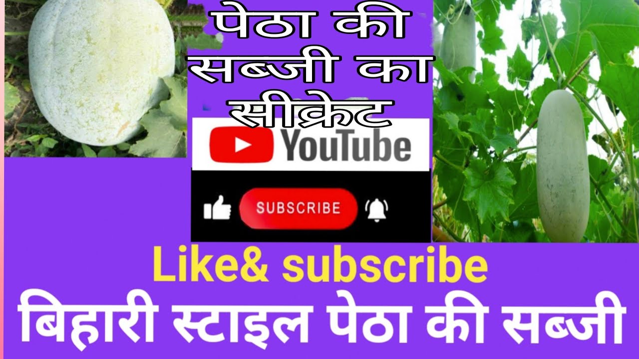 Petha Ki Sabji Ka Secret ||Bihari Style Petha Ki Sabji || Petha Ki ...