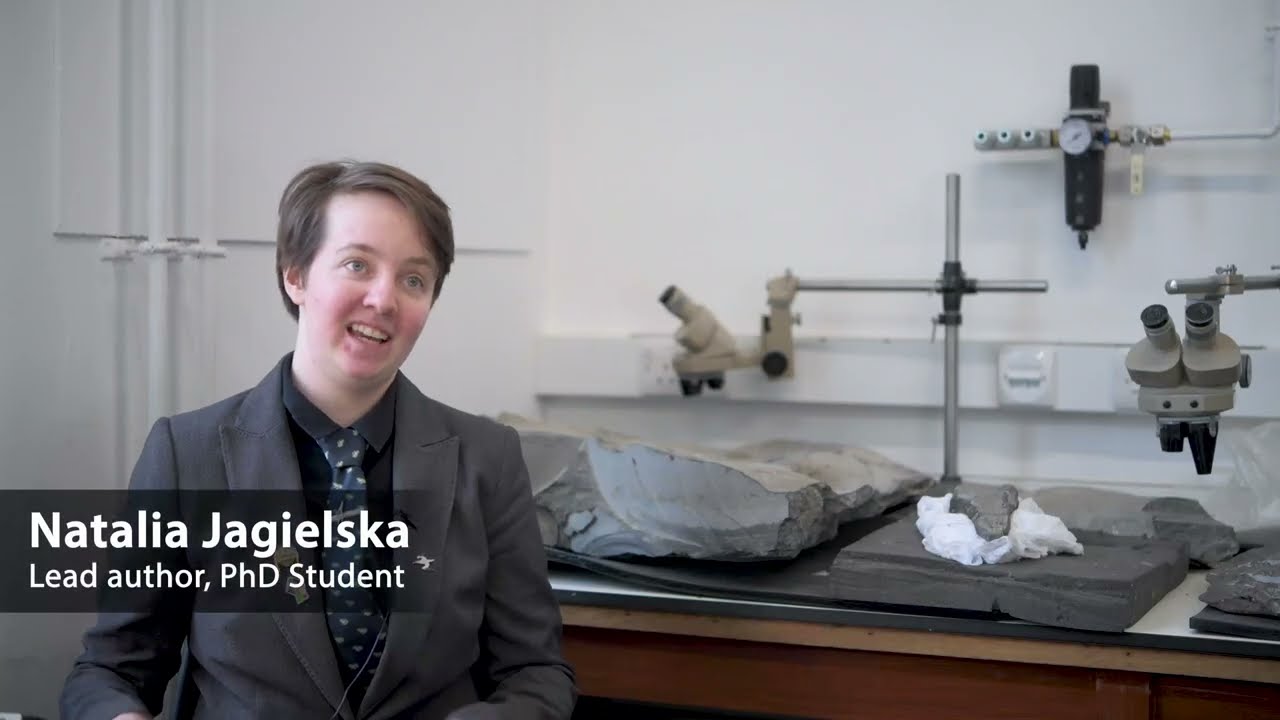 A big, new species of flying reptile from Scotland / Curr. Biol., Feb ...