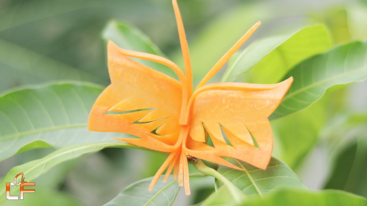 Beautiful Carrot Butterfly Carving Garnish | Lavy Fuity - YouTube