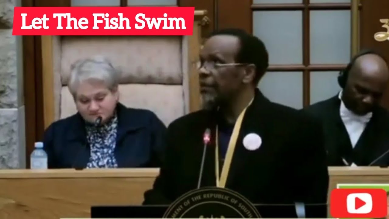 Dr Kgosi Letlape Great Lecture To South African MP's In Parliament ...