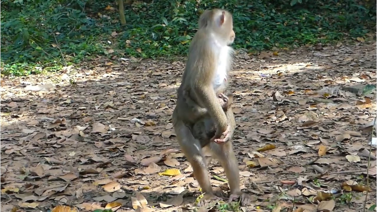 Breaking News! BB Rainbow quick run to hug Libby cuz afraid of male ...