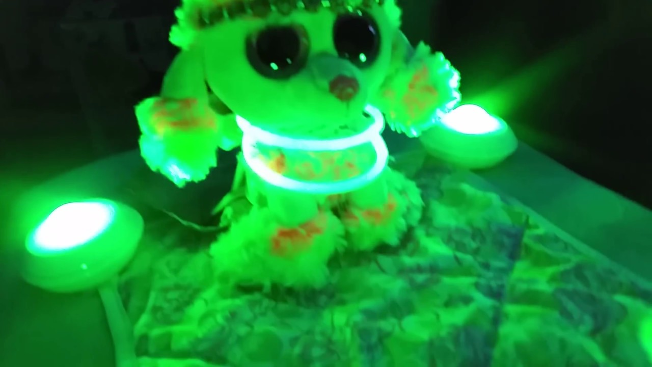 Beanie boo fashion show #3!!!!! - YouTube