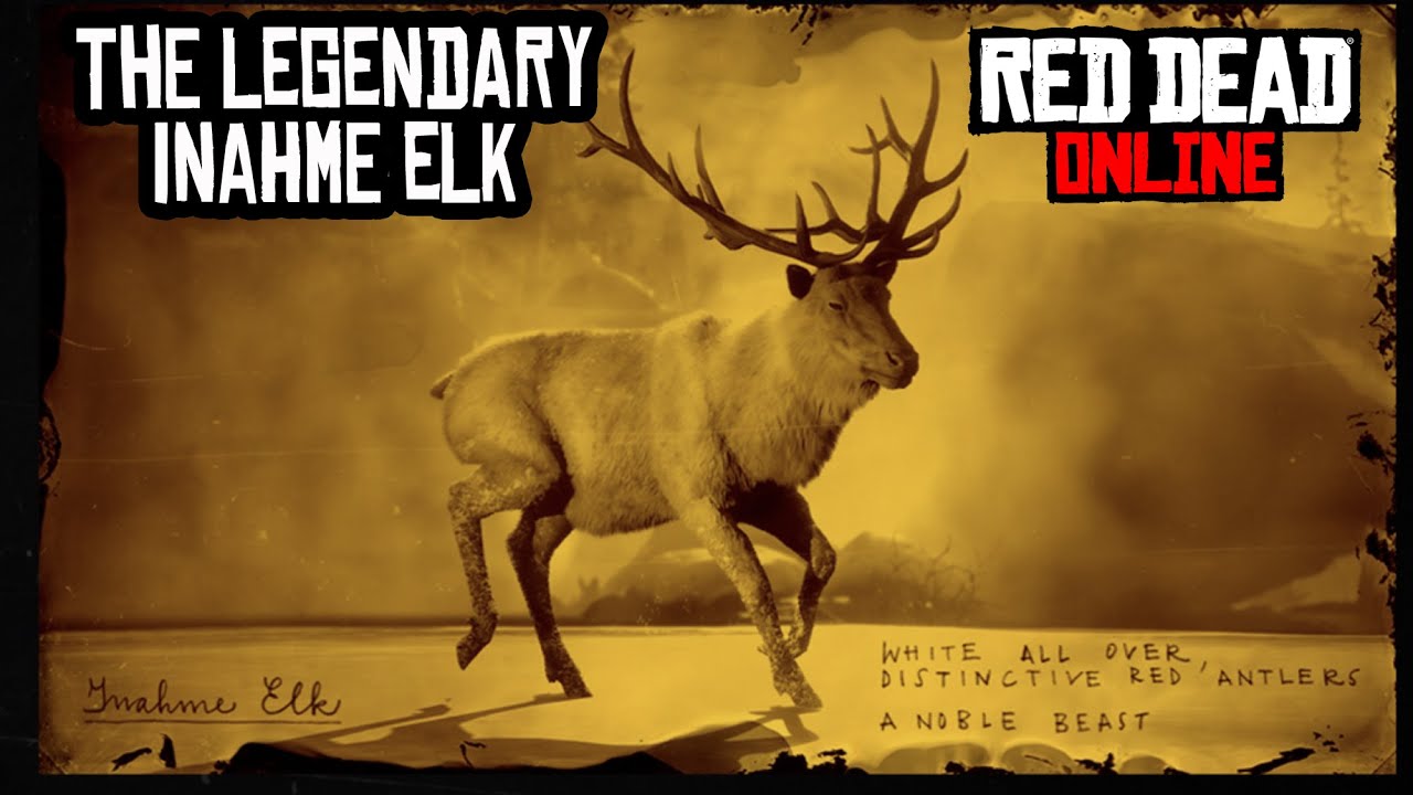 RDO - Wapiti Inahme Leggendario (The Legendary Inahme Elk) - YouTube