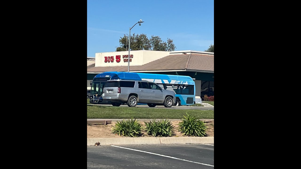 Today I Live stream - YouTube