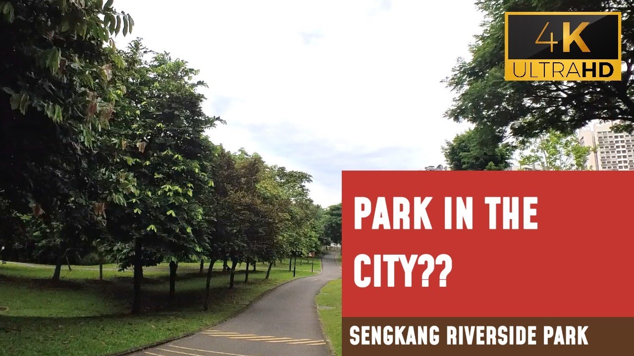 Serene Stroll in Sengkang Riverside Park: A Nature Escape in Singapore ...