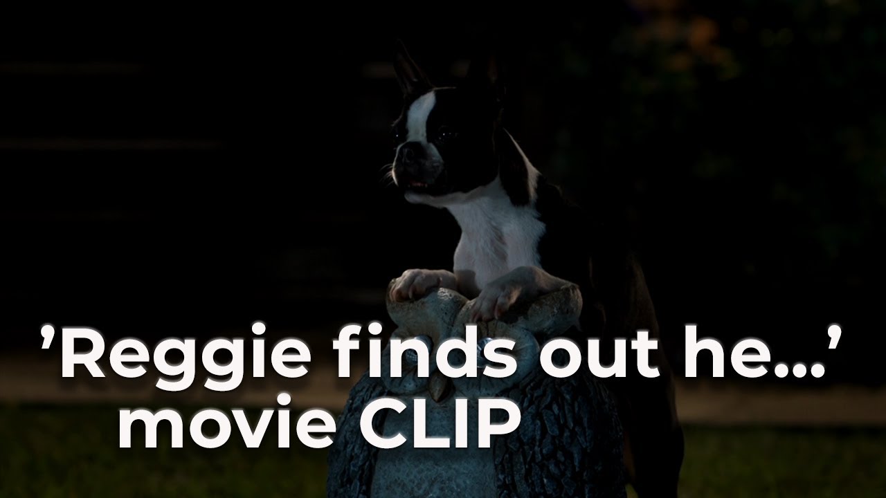 Strays (2023) Movie Clip 'Reggie finds out he likes humping' - YouTube