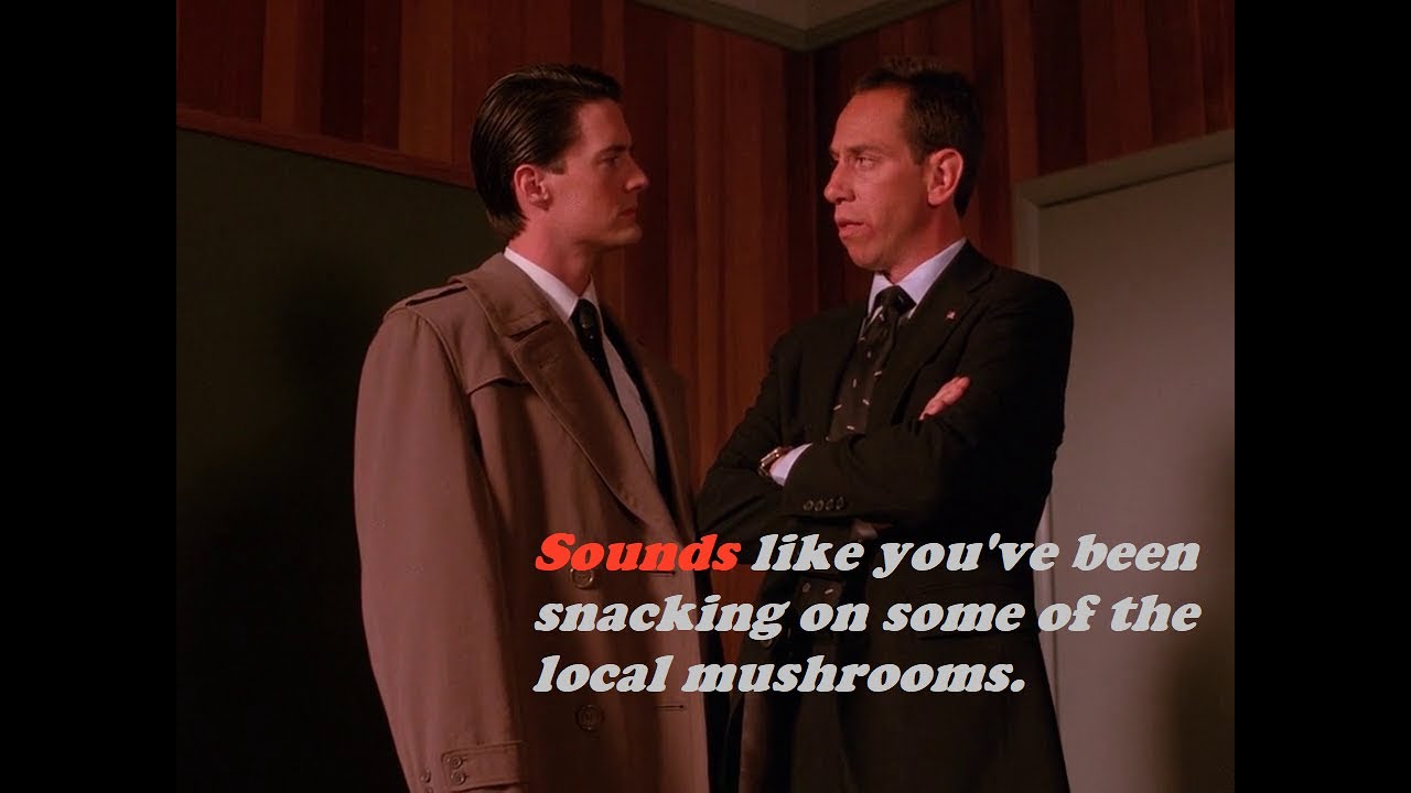 Terence McKenna, true-good-beautiful. 👀psy@ - YouTube