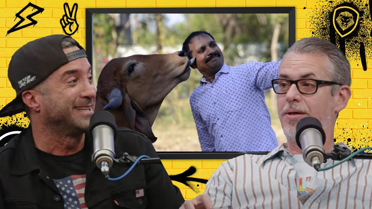 Holy Cow! Reaction to Indian Man Killed By Flying Cow - YouTube